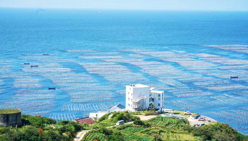 Shengsi’s Holistic Tourism Awakens the “Stellar Synergy” of Its Islands ...